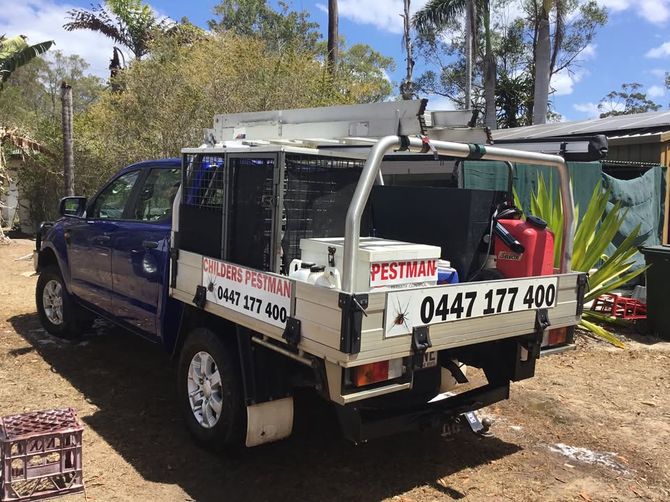 Childers Pest Man - Chitchat Newspaper